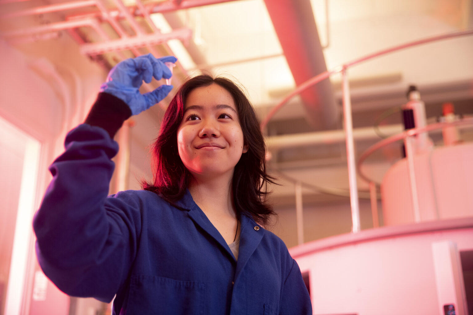 Bouvé Graduate Admissions - Bouvé College of Health Sciences