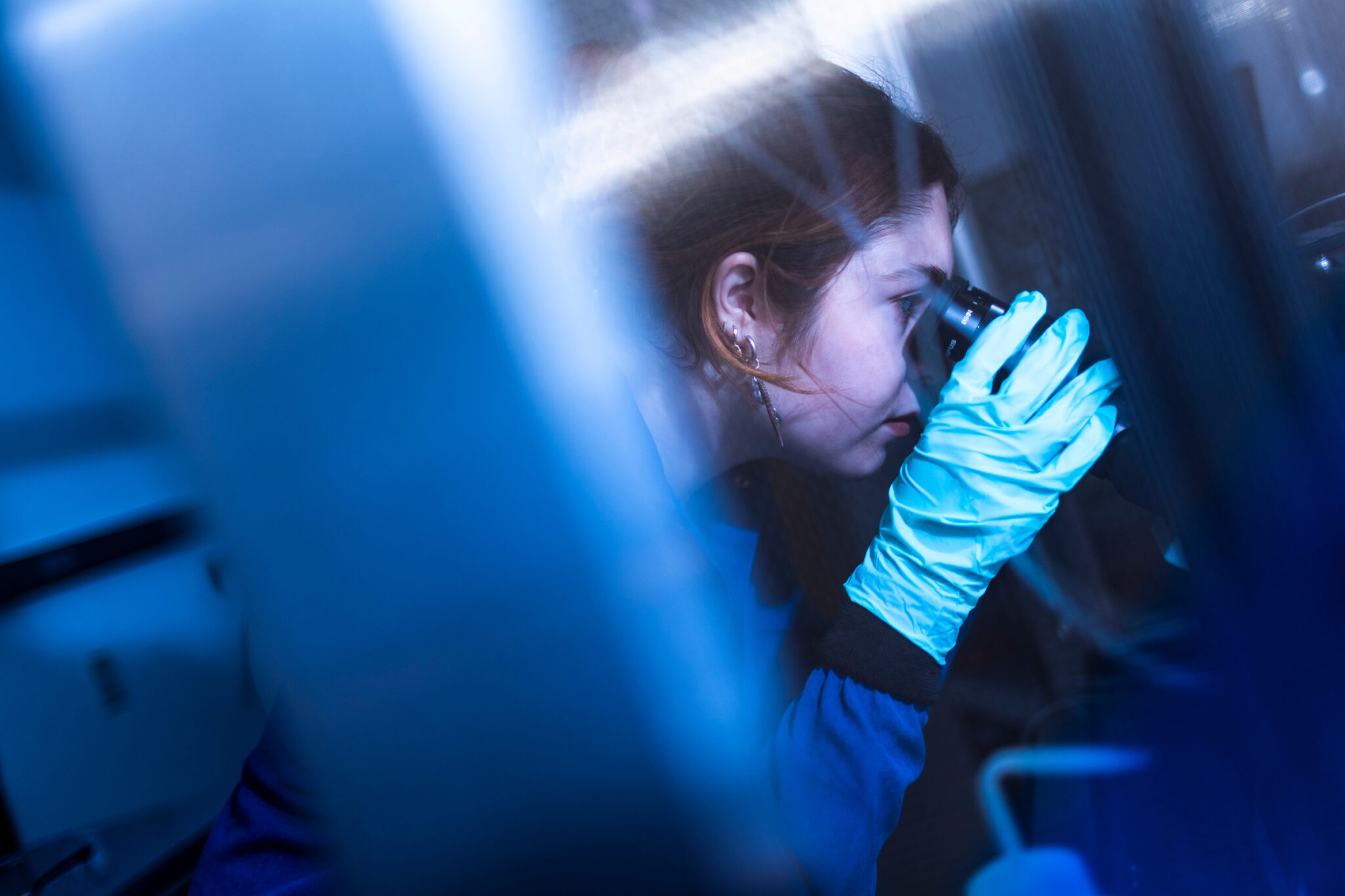 Apply - Bouvé College of Health Sciences