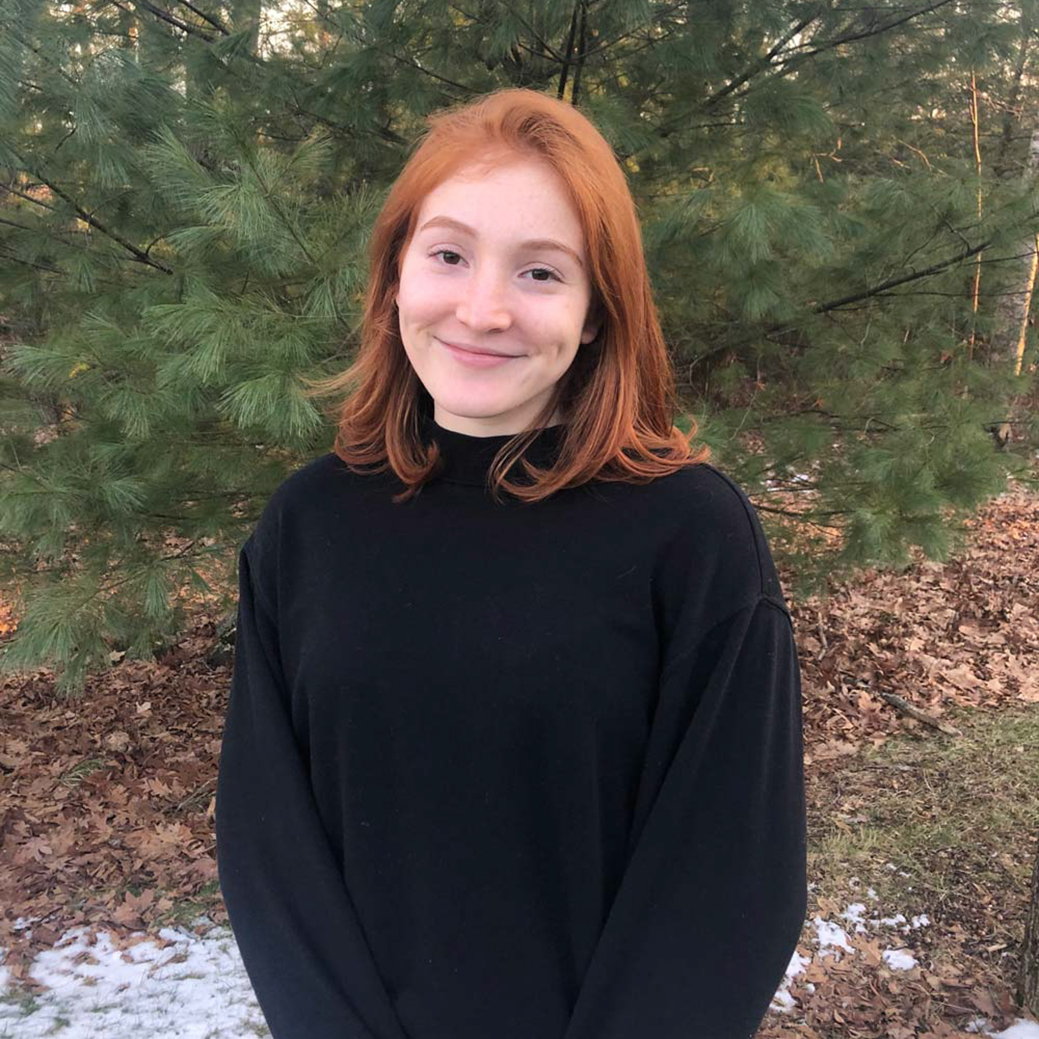 Institute for Health Equity and Social Justice Research - Bouvé College ...