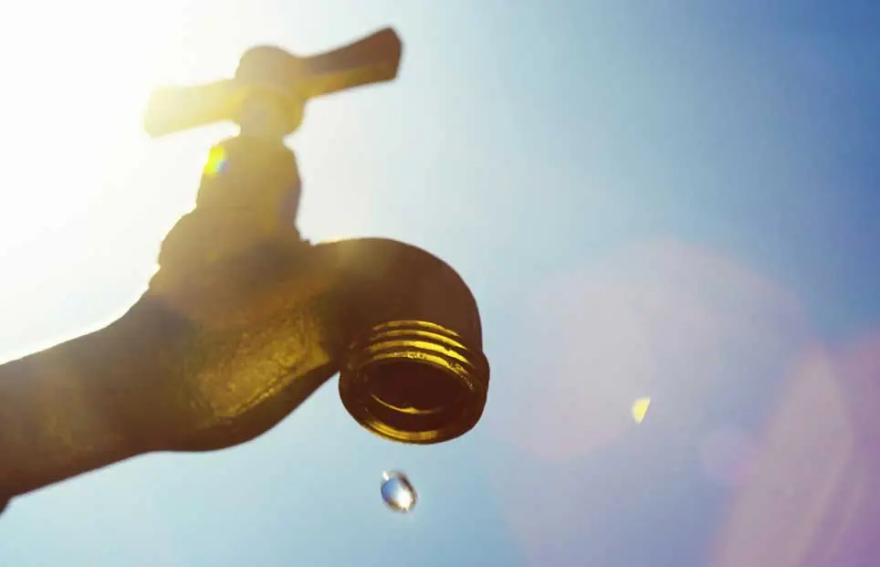 Public Health Minor - Bouvé College of Health Sciences